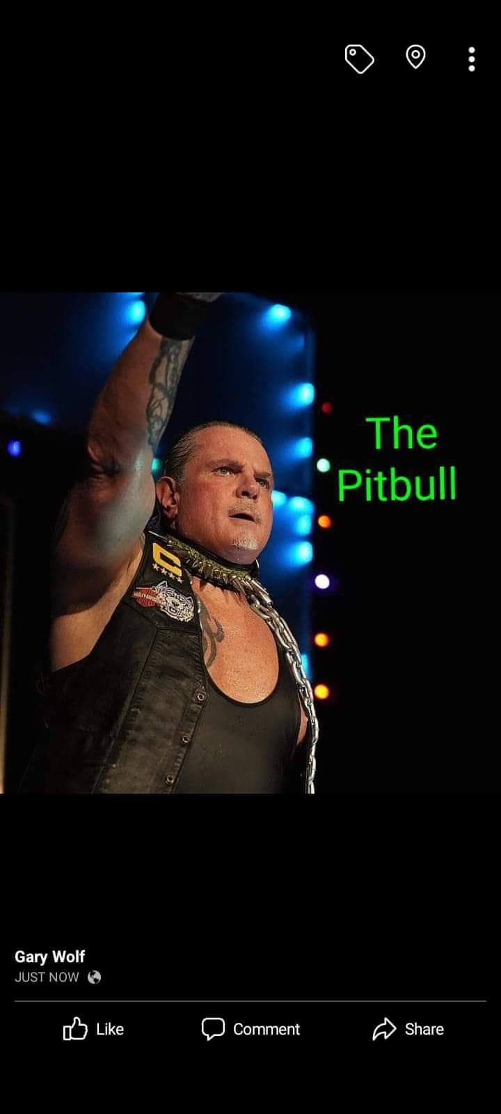 Wrestling 4 Vets